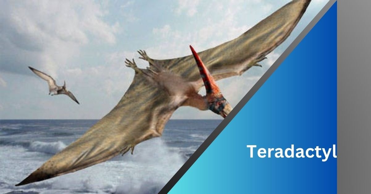 Teradactyl - Exploring Their Habitats, Evolution, And Legacy